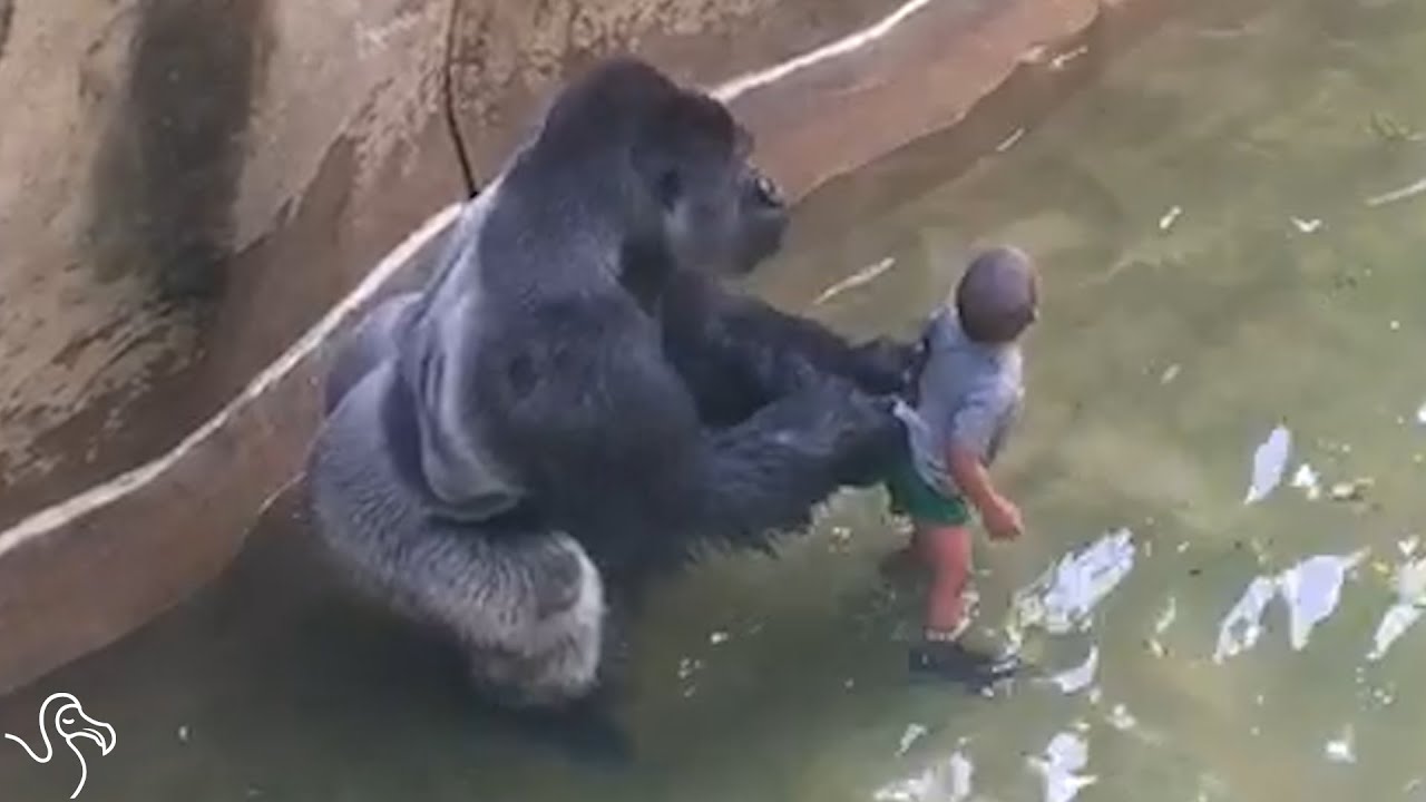 Nation Realizes It's Been a Few Years Since They Were Outrageously ...